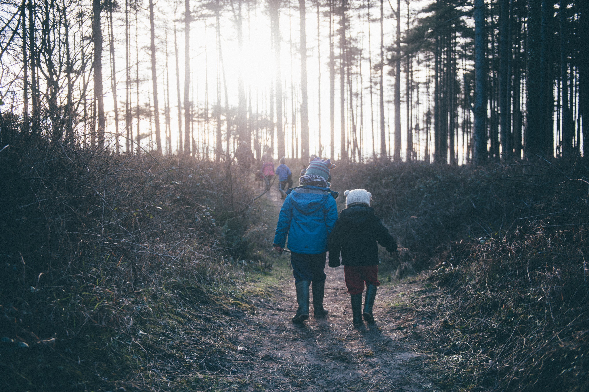 50% Completion of Regional Full Fibre Infrastructure Build ...